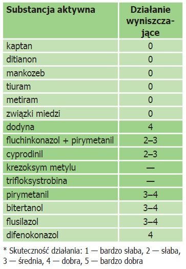 Działanie fungicydów zwalczających parcha jabłoni - Agrosimex.pl