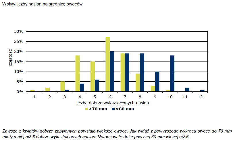 Lepsze zapylenie to wyższy plon - Agrosimex.pl