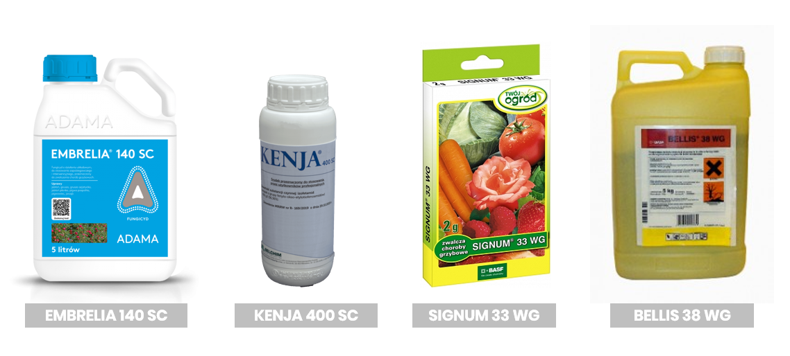 Fungicydy z grupy SDHI – fungicydy do zadań specjalnych - Agrosimex.pl