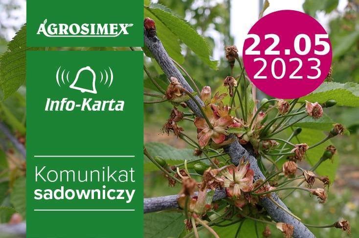 Ochrona i nawożenie po kwitnieniu drzew pestkowych - komunikat sadowniczy - Agrosimex.pl