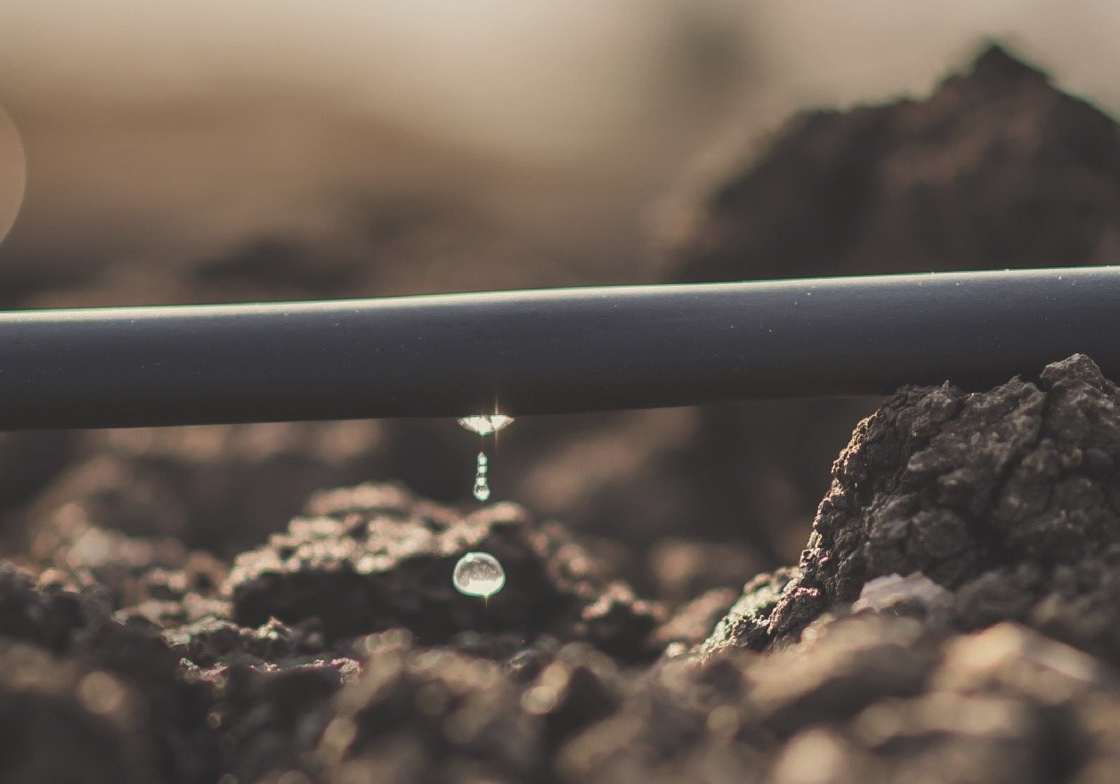 Czym jest irygacja w sadownictwie - Agrosimex.pl