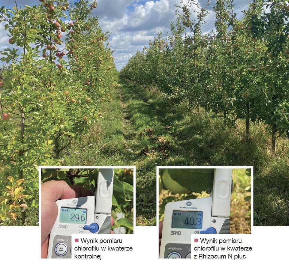 Uprawa jabłoni i malin z wykorzystanie Rhizosum N plus w sezonie 2023 ...